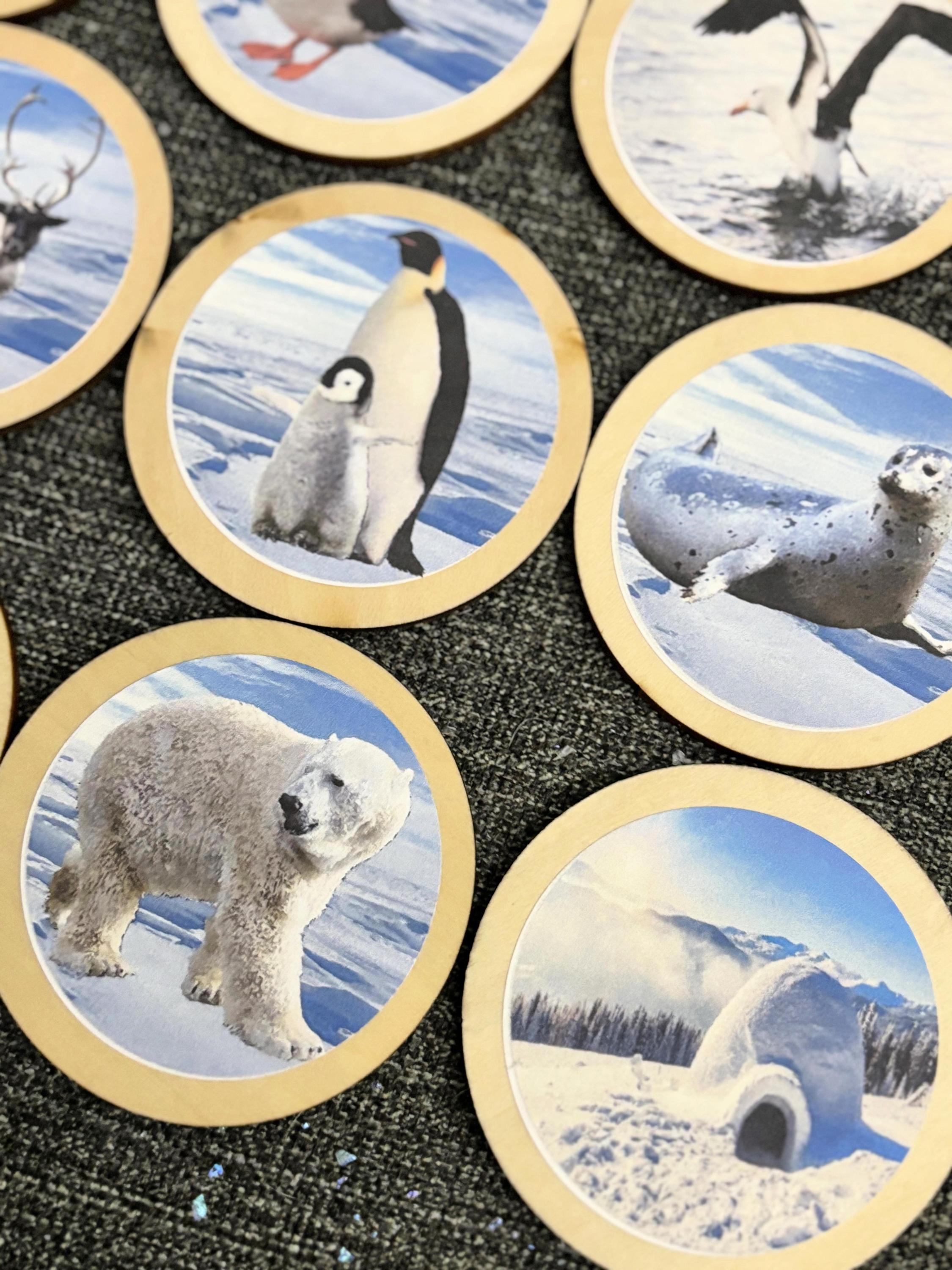 Winter Arctic Polar Animals Memory Match Game | Wooden Montessori ...