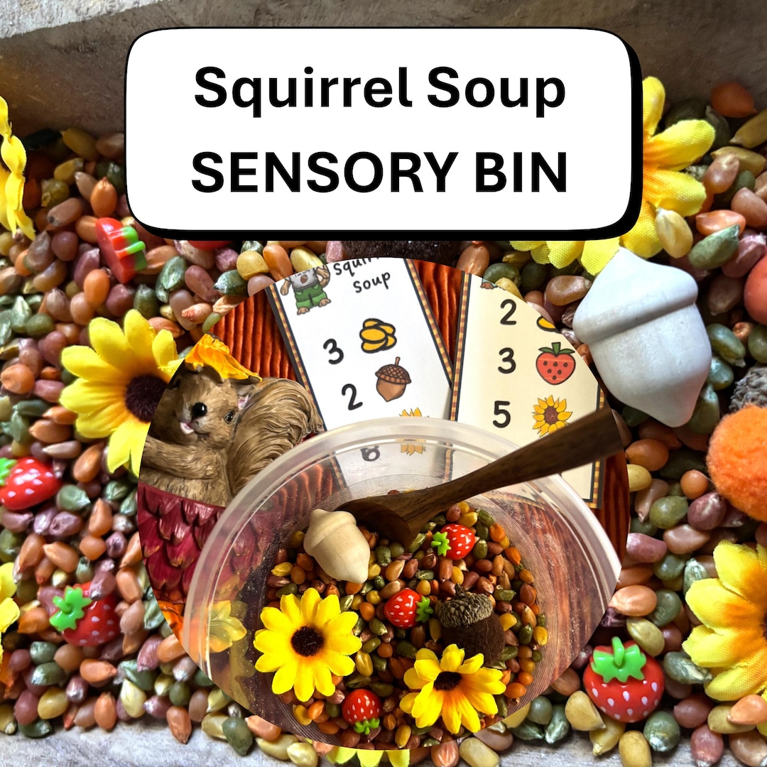 Squirrel Soup Sensory Bin | Fall Activity, Counting Cards (PDF or ...