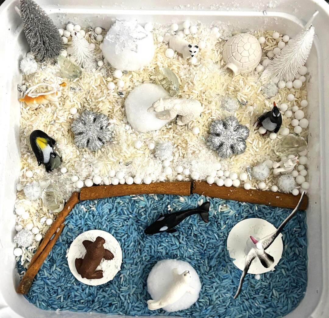Polar Arctic Sensory Bin Winter Preschool Kindergarten Homeschool ...