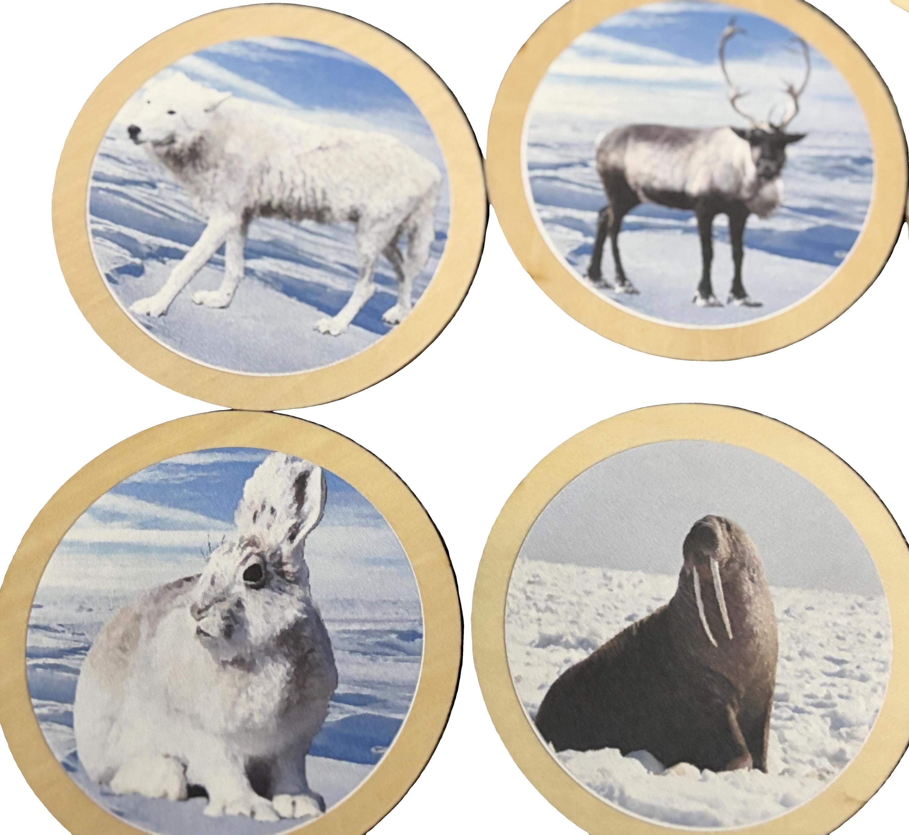 Winter Arctic Polar Animals Memory Match Game | Wooden Montessori ...