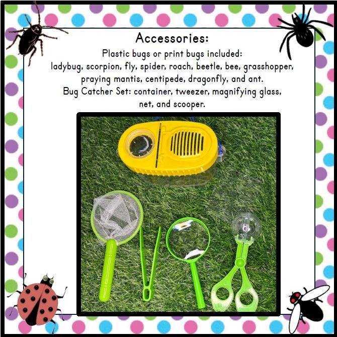 Going on a Bug Hunt Sensory Bin Cards | Sensory Bin Activity | Insect ...