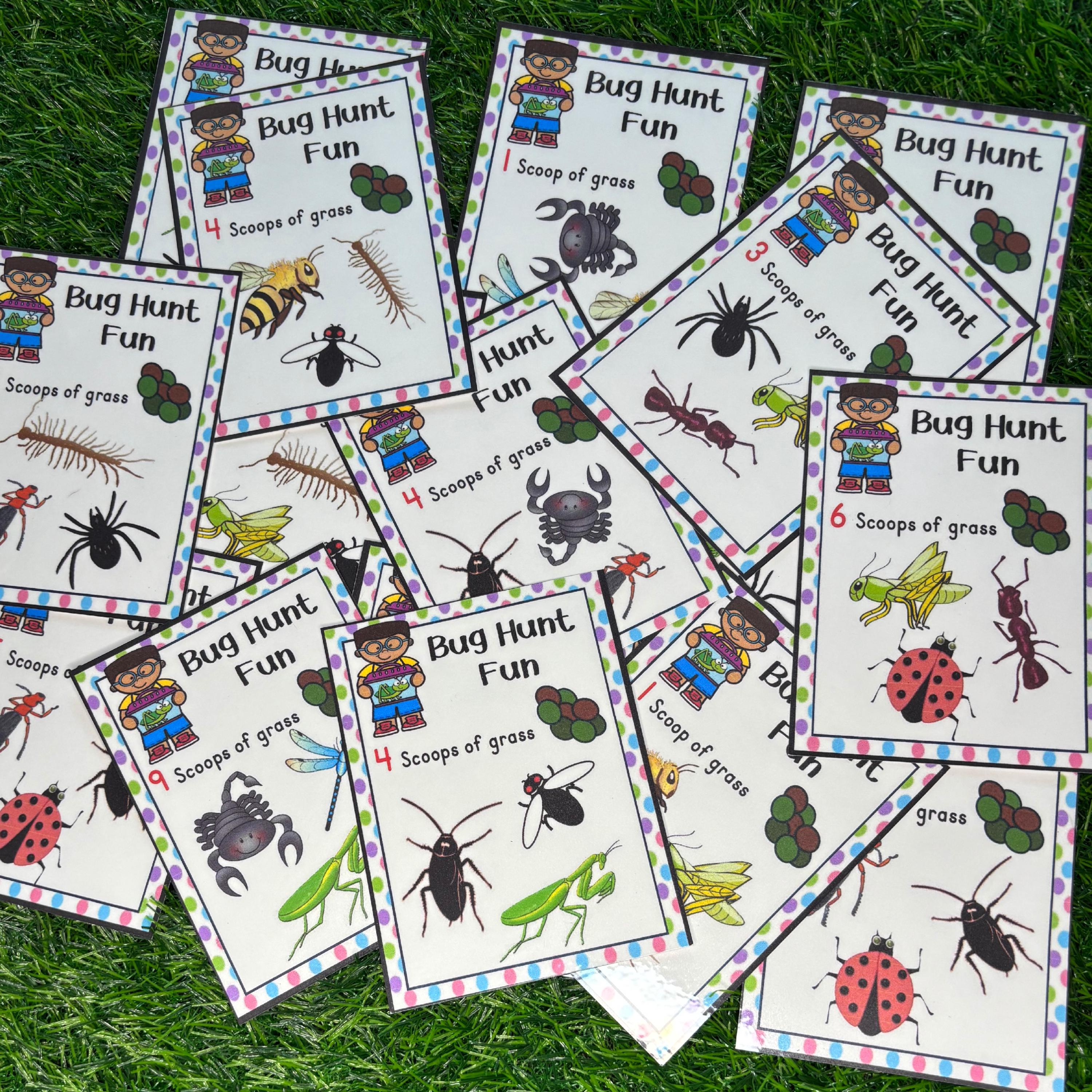 Going on a Bug Hunt Sensory Bin Cards | Sensory Bin Activity | Insect ...