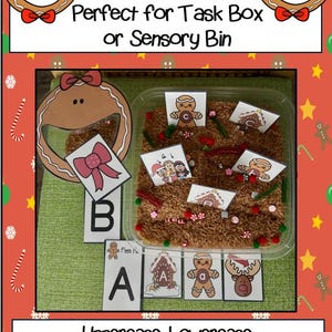 Feed Me Letters Gingerbread Sensory Bin Alphabet Recognition Activity ...
