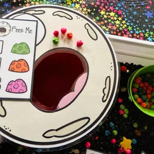 FEED THE MOON | Outer Space | Sensory Bin | Letter Activity | Initial ...