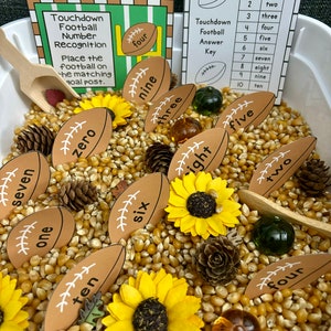 Touchdown Football Task Box Center Letter Number Recognition Sensory ...