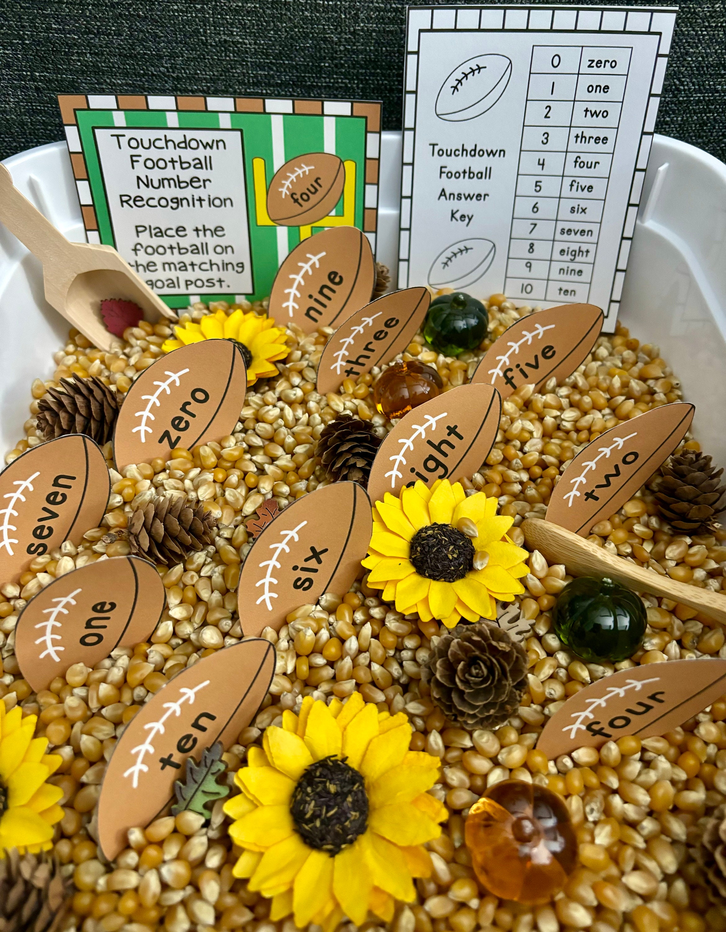 Touchdown Football Task Box Center Letter Number Recognition Sensory ...