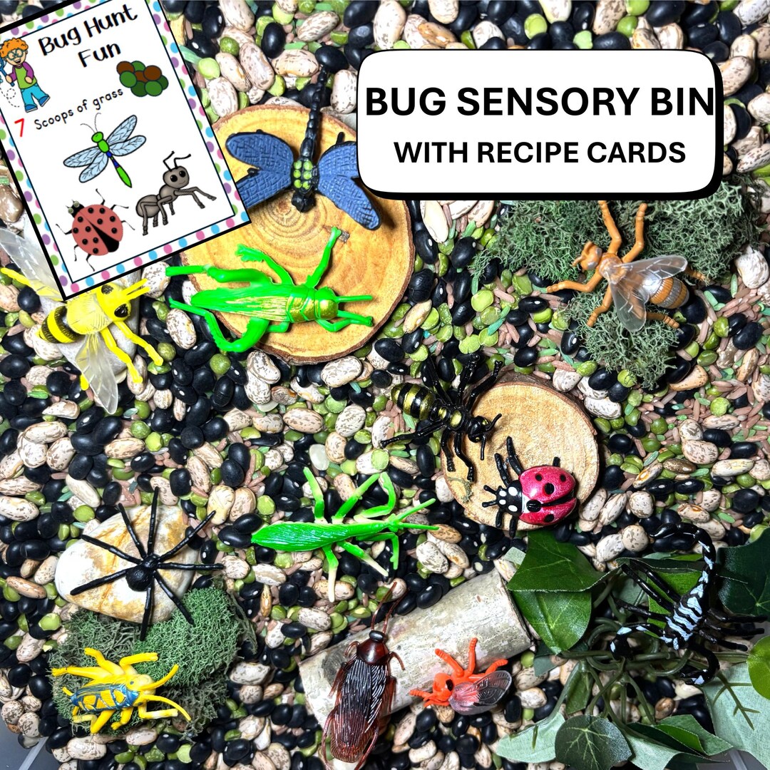 Bug Hunt Sensory Bin With Recipe Cards & Props - Etsy