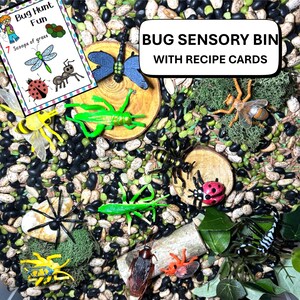 Bug Hunt Sensory Bin With Recipe Cards & Props - Etsy