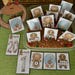 Feed Me Numbers Gingerbread Sensory Bin Math Activity Learning Center ...