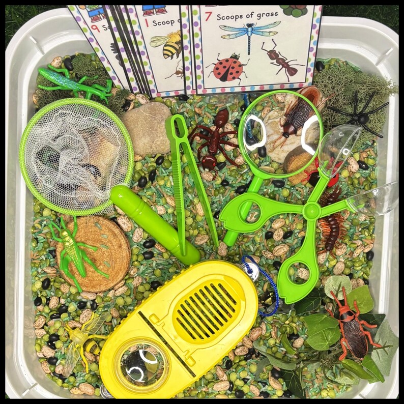 Bug Hunt Sensory Bin With Recipe Cards & Props - Etsy