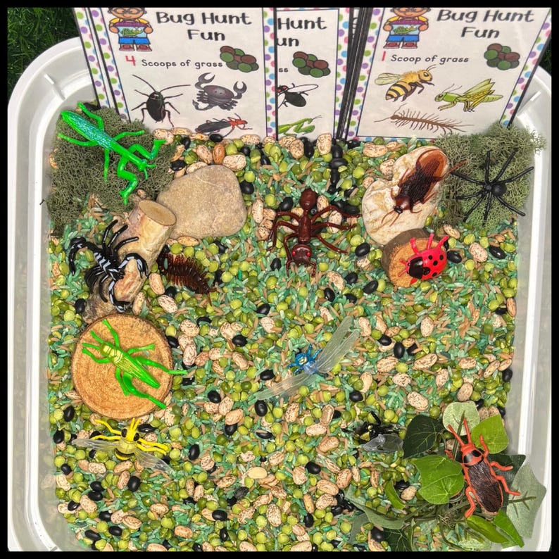 Bug Hunt Sensory Bin With Recipe Cards & Props - Etsy