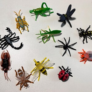 Bug Hunt Sensory Bin With Recipe Cards & Props - Etsy