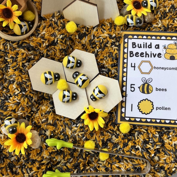 Anatomy of a Butterfly • Montessori Printable • Butterfly Study • Busy ...