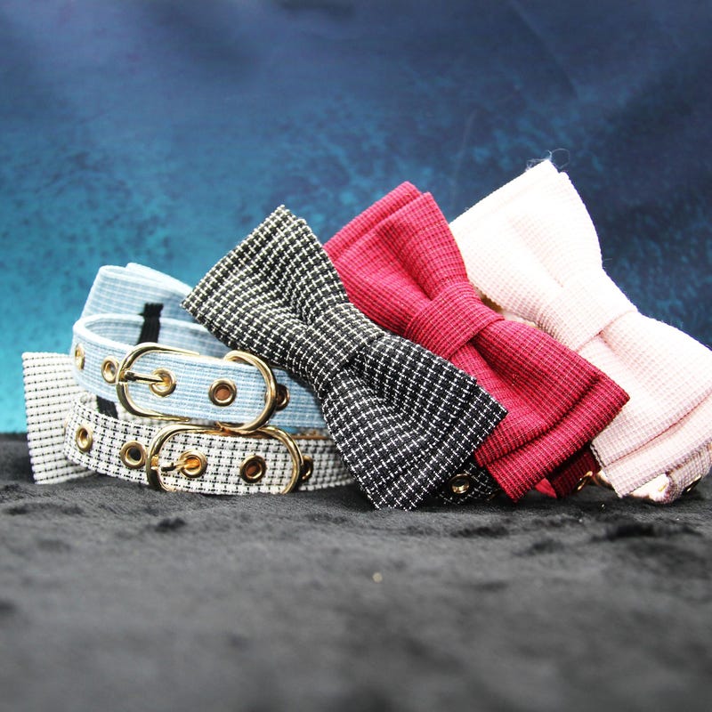 Fancy Cat Collar - Etsy