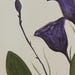 Violet Flowers Acrylic Painting, Floral Wall Art - Etsy