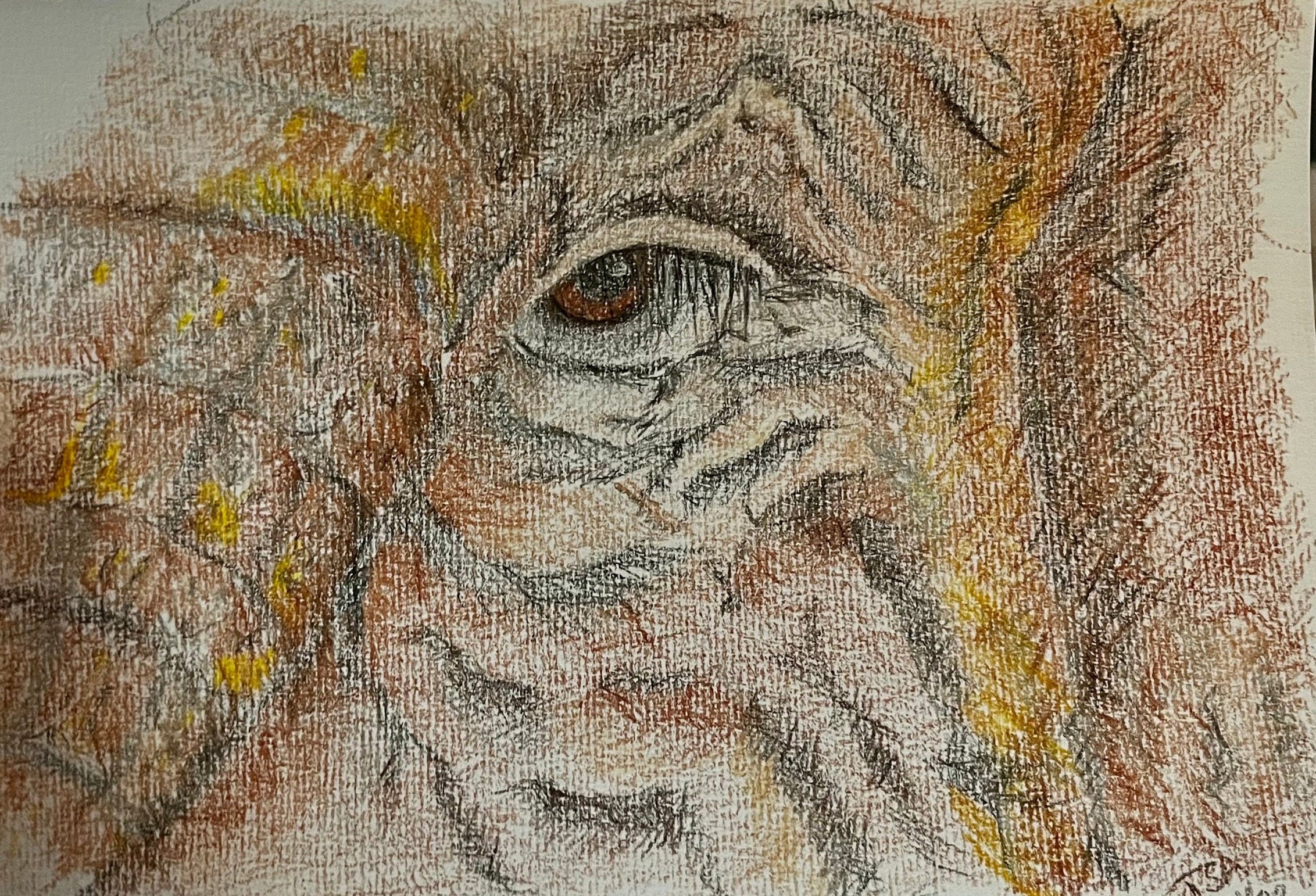 Elephant Wrinkles - Etsy