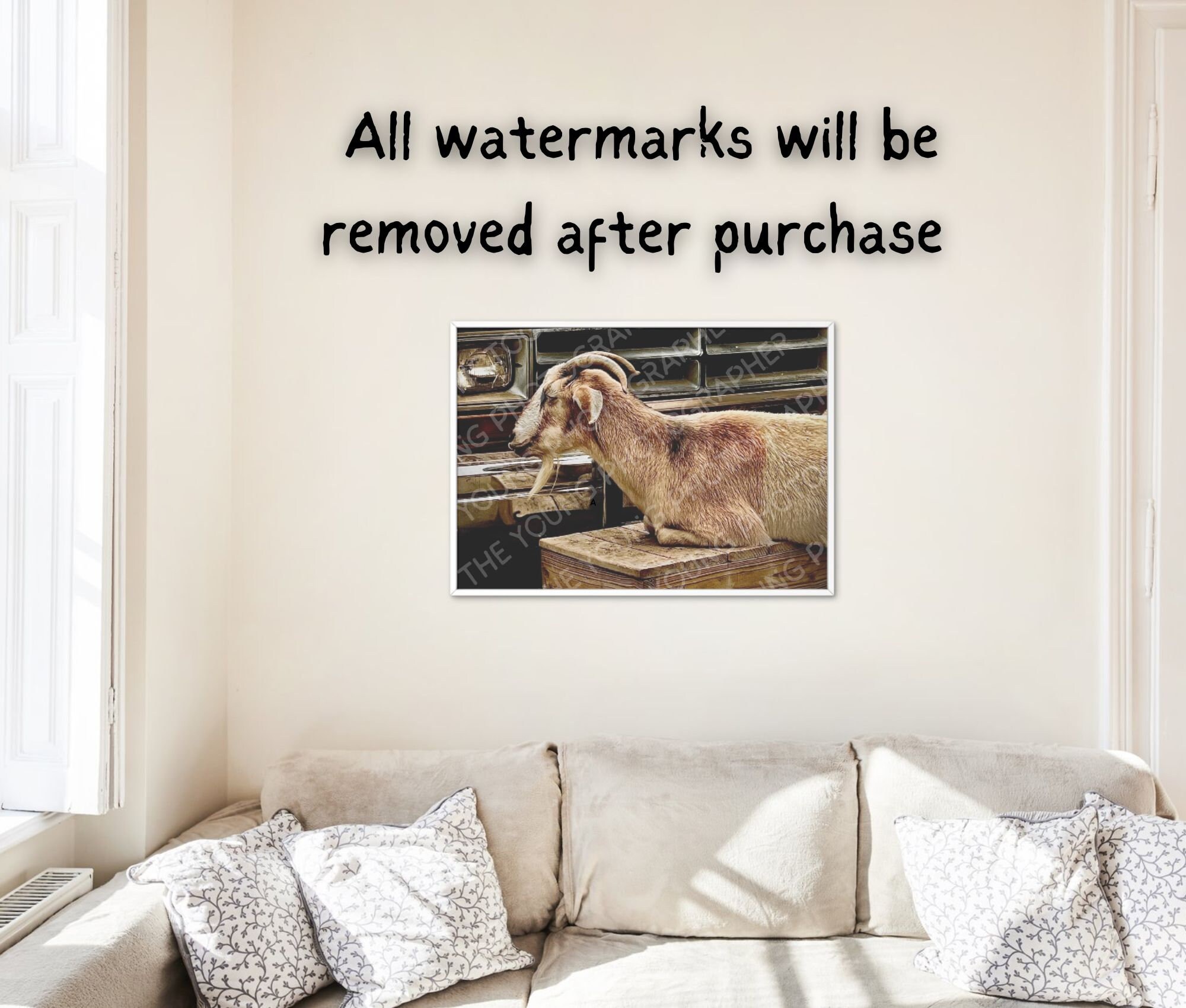 Goat, Country, Farm, Truck, DIGITAL DOWNLOAD, Photography, Animal, Art ...