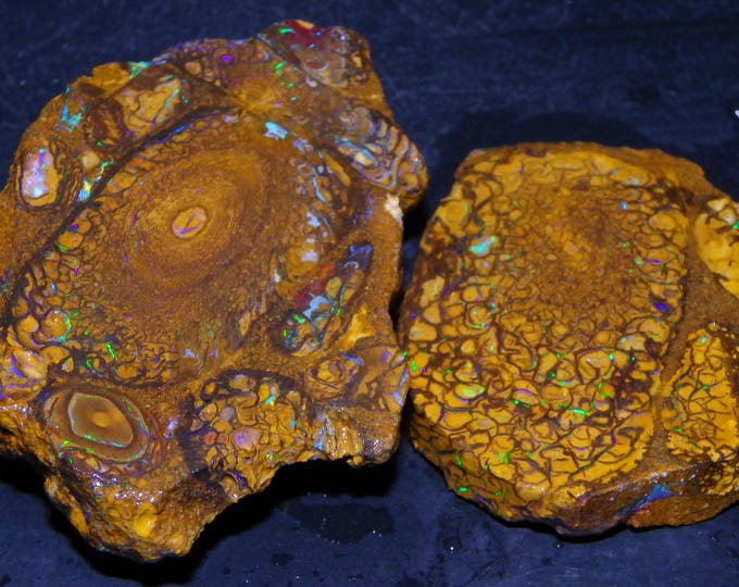 2 Nice Quality Sliced Koroit Opals 413.7cts Queensland Australia ...