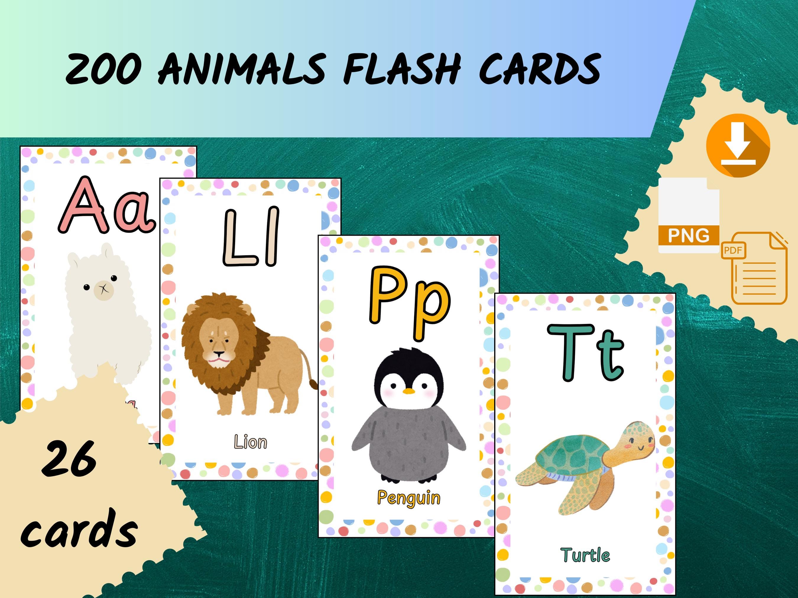 26 Alphabet Zoo Animal Flashcards for Toddlers Kids Kindergarten ...