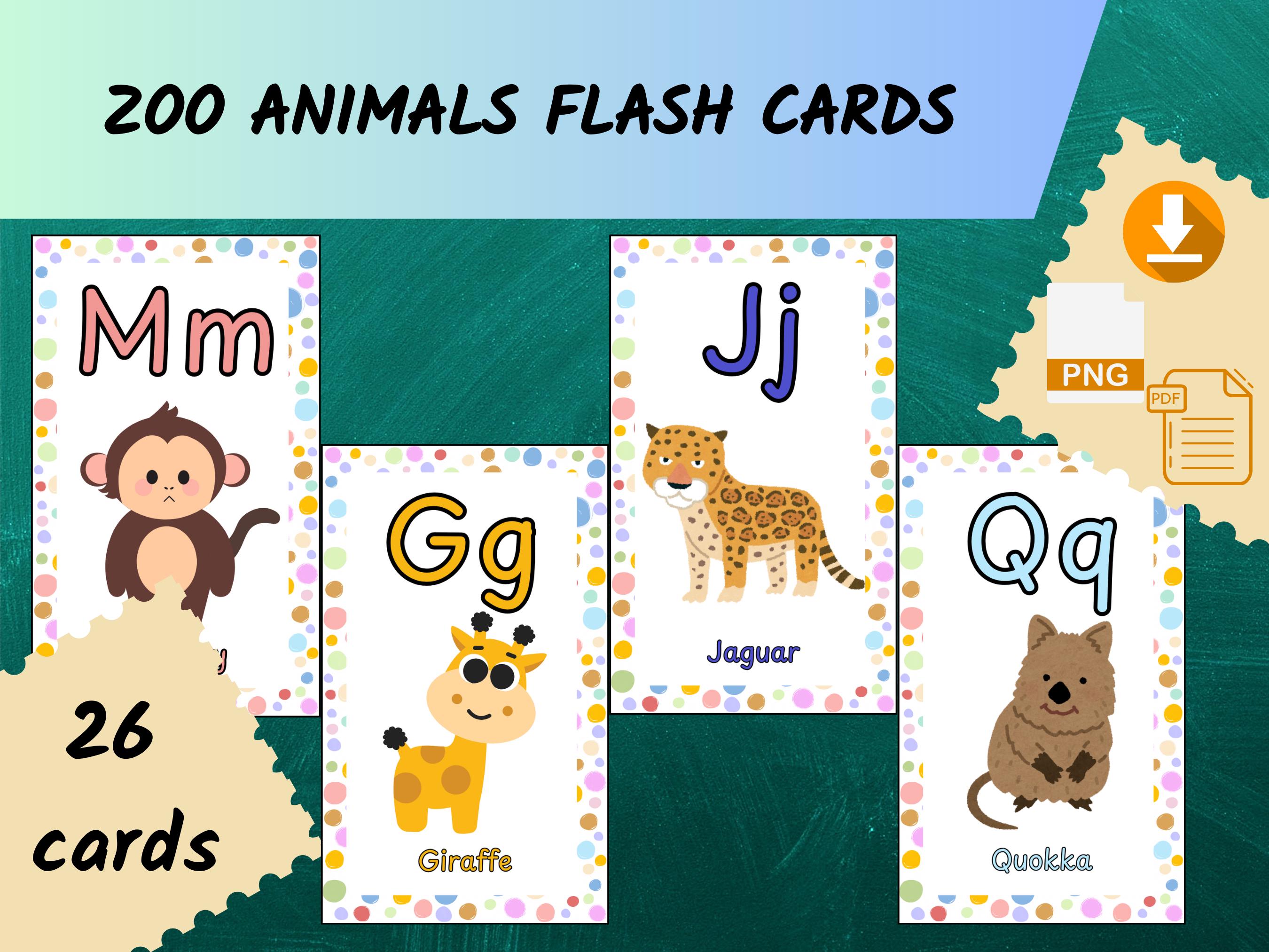 26 Alphabet Zoo Animal Flashcards for Toddlers Kids Kindergarten ...