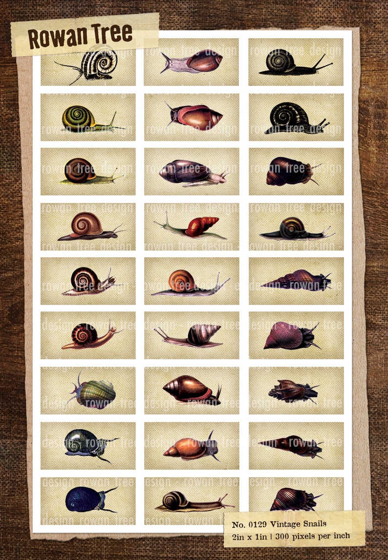 VINTAGE SNAILS Digital Collage Sheet 2x1in - No. 0129 - Etsy