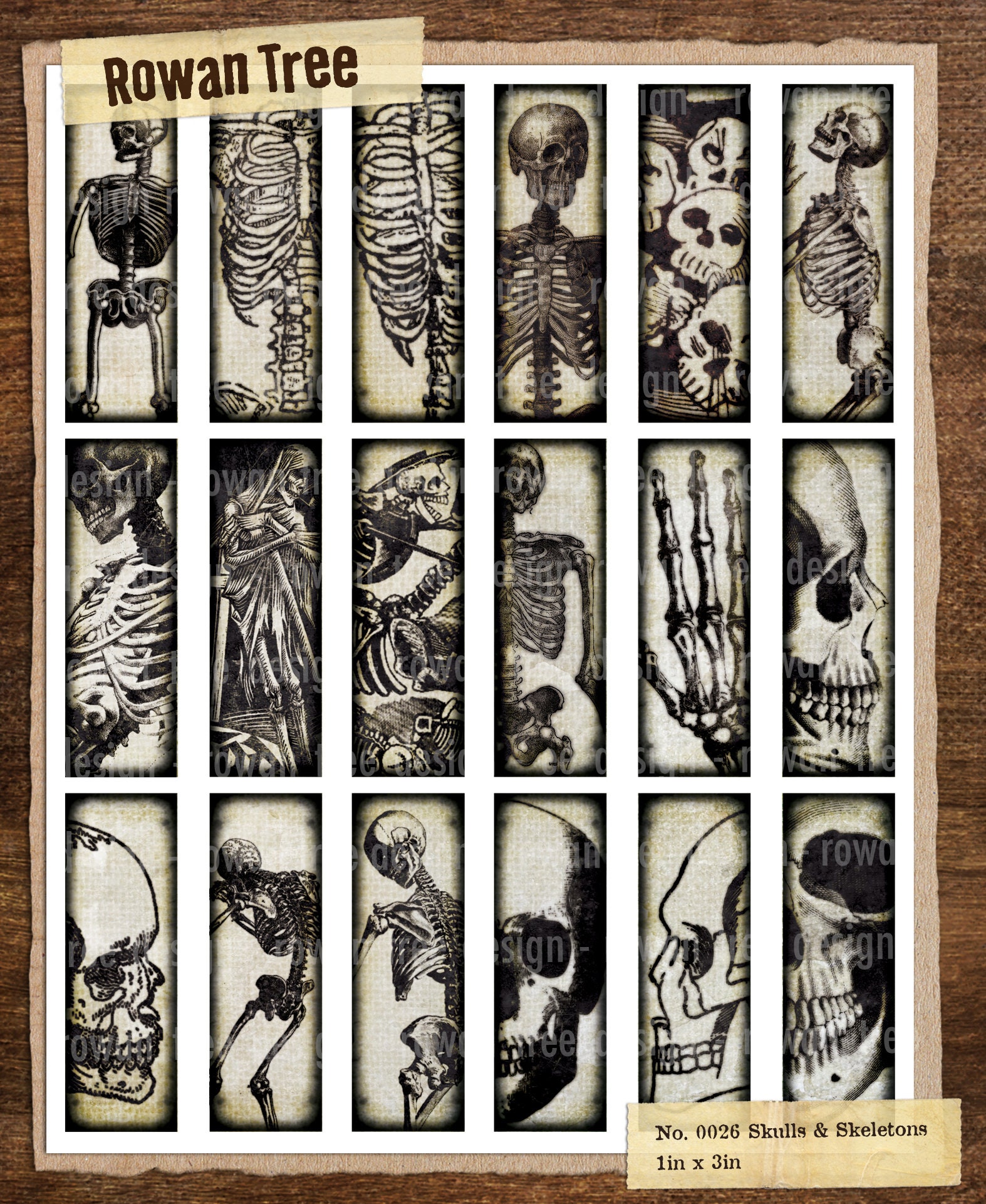 SKULLS AND SKELETONS Digital Collage Sheet 1x3in Halloween Spooky - No ...