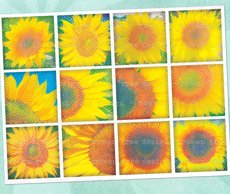 SUMMER SUNFLOWERS Printable Collage Sheet 2in Squares Flowers | Etsy