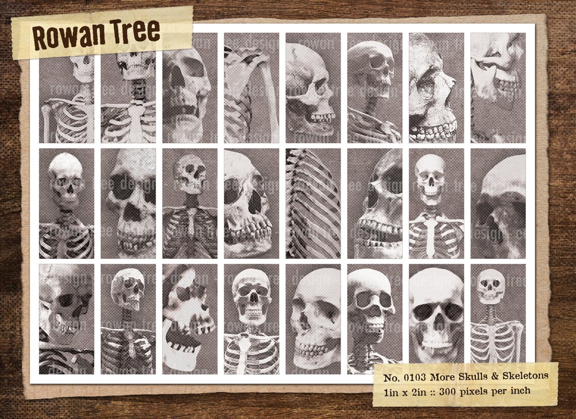 MORE SKULLS & SKELETONS Digital Collage Sheet 1x2in Halloween - No ...