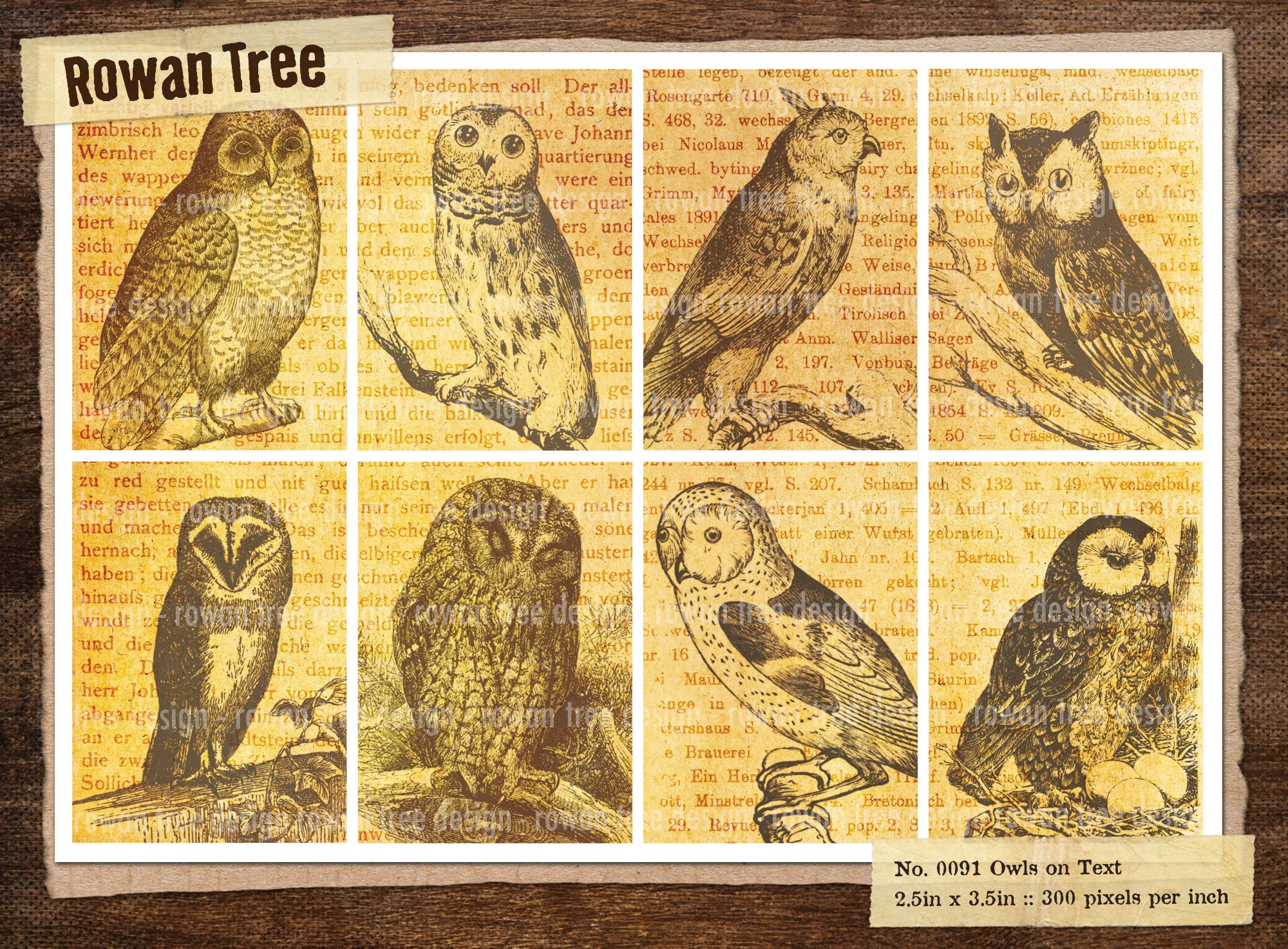 Owls On Text Digital Collage Sheet 2 5x3 5in No 0091 Etsy