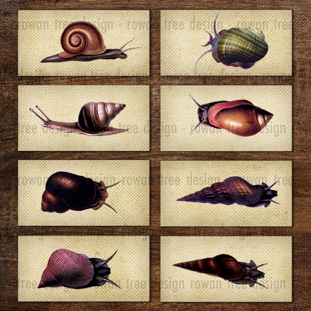 VINTAGE SNAILS Digital Collage Sheet 2x1in - No. 0129 - Etsy
