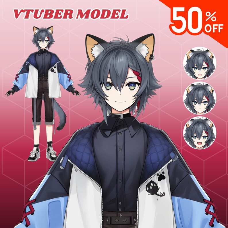 Custom Anime Vtuber Model, Anime Character Streamer, Vtuber Model ...