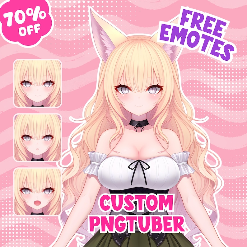 Custom Pngtuber Model | Personalized Virtual Avatar for Streamers - Etsy