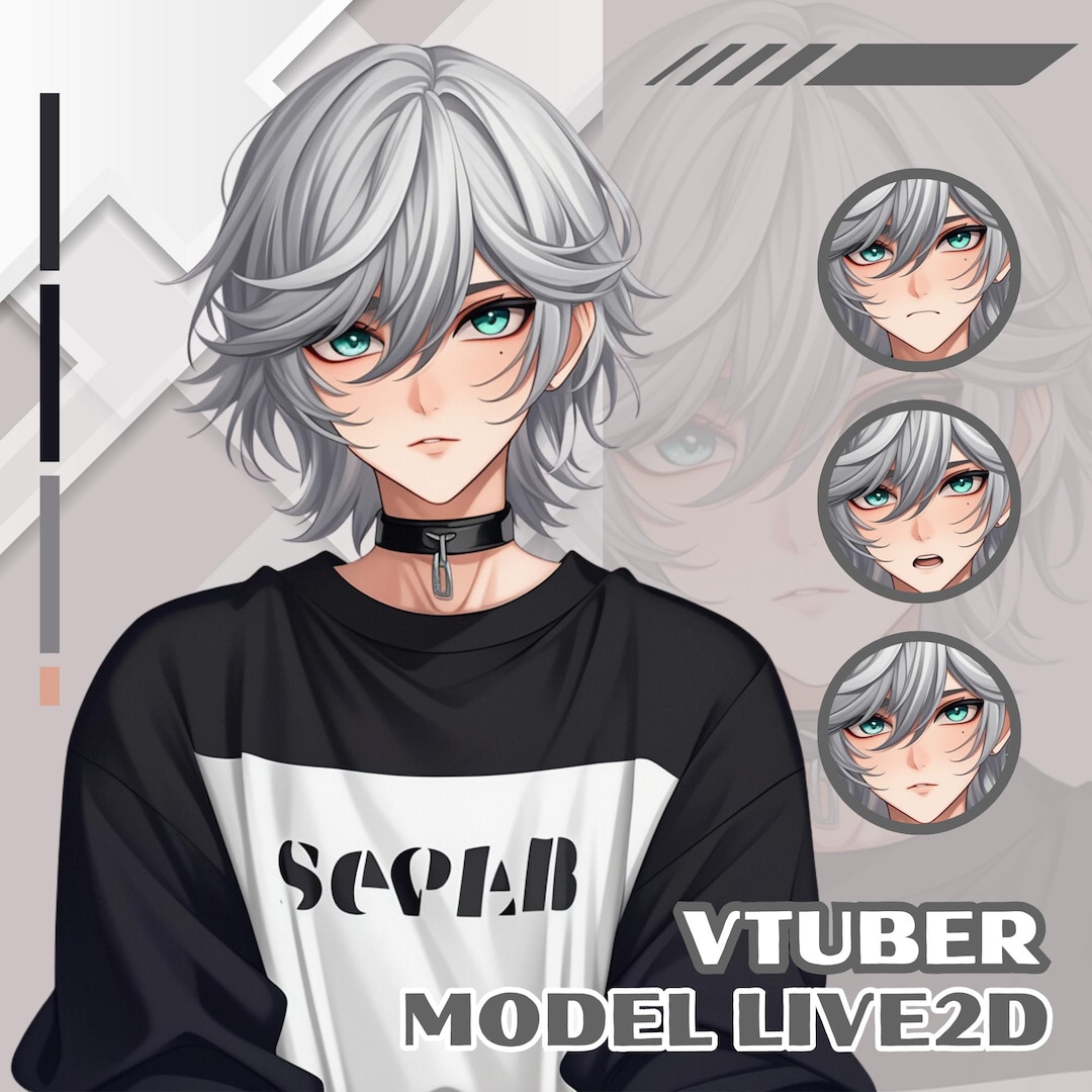 Custom Vtuber, Vtuber Commission, Vtuber Male, Customizable Vtuber ...