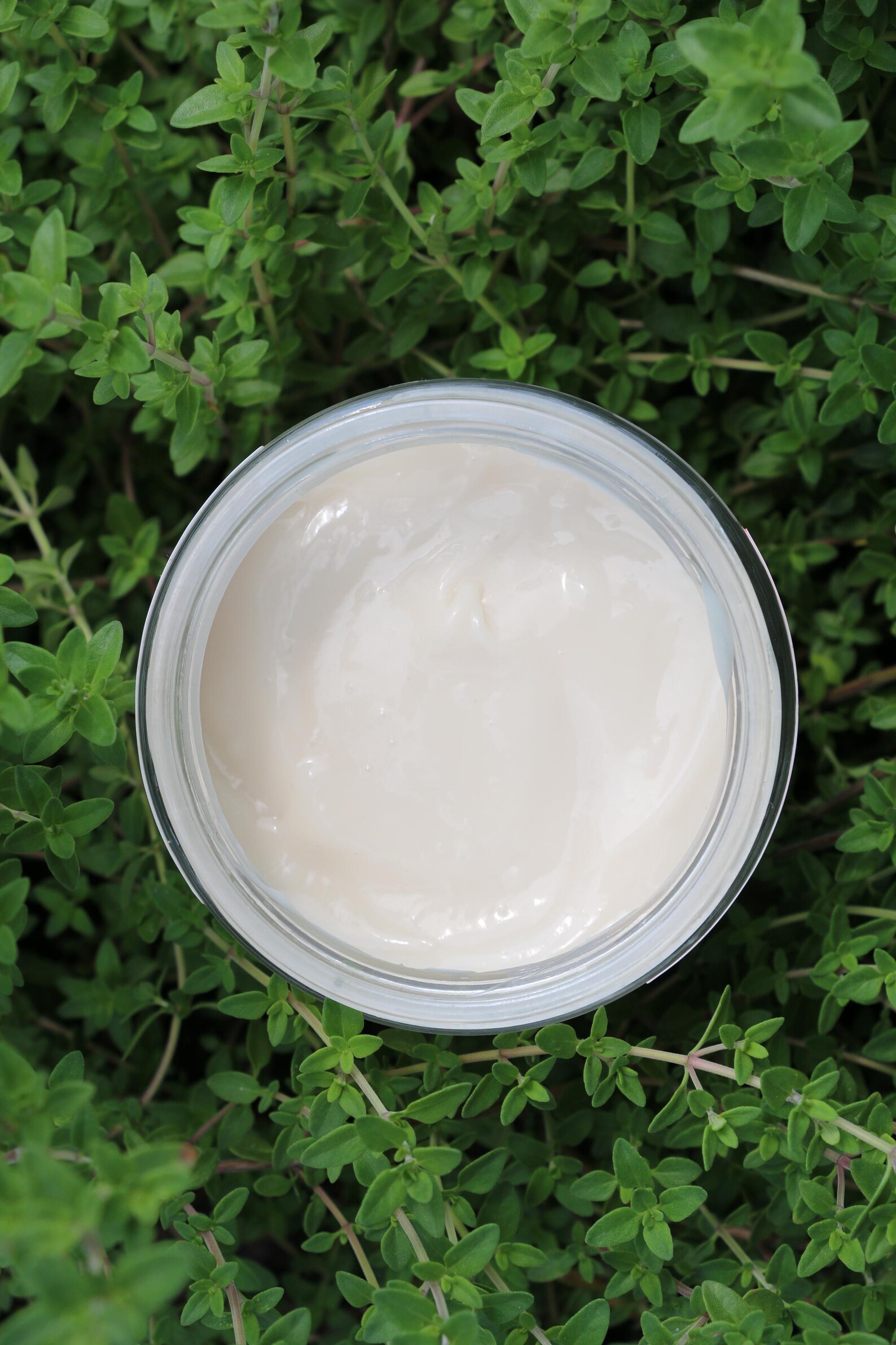 Handmade Soothing Oatmeal Body Lotion With Colloidal Oats & Neossance ...