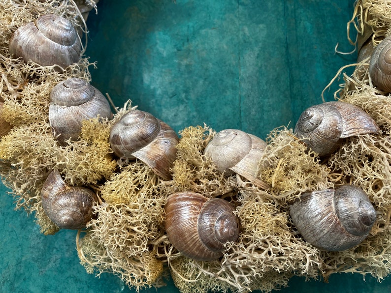Mother of Pearl Decorated Snail Wreath, Unique Piece, Limited Edition ...