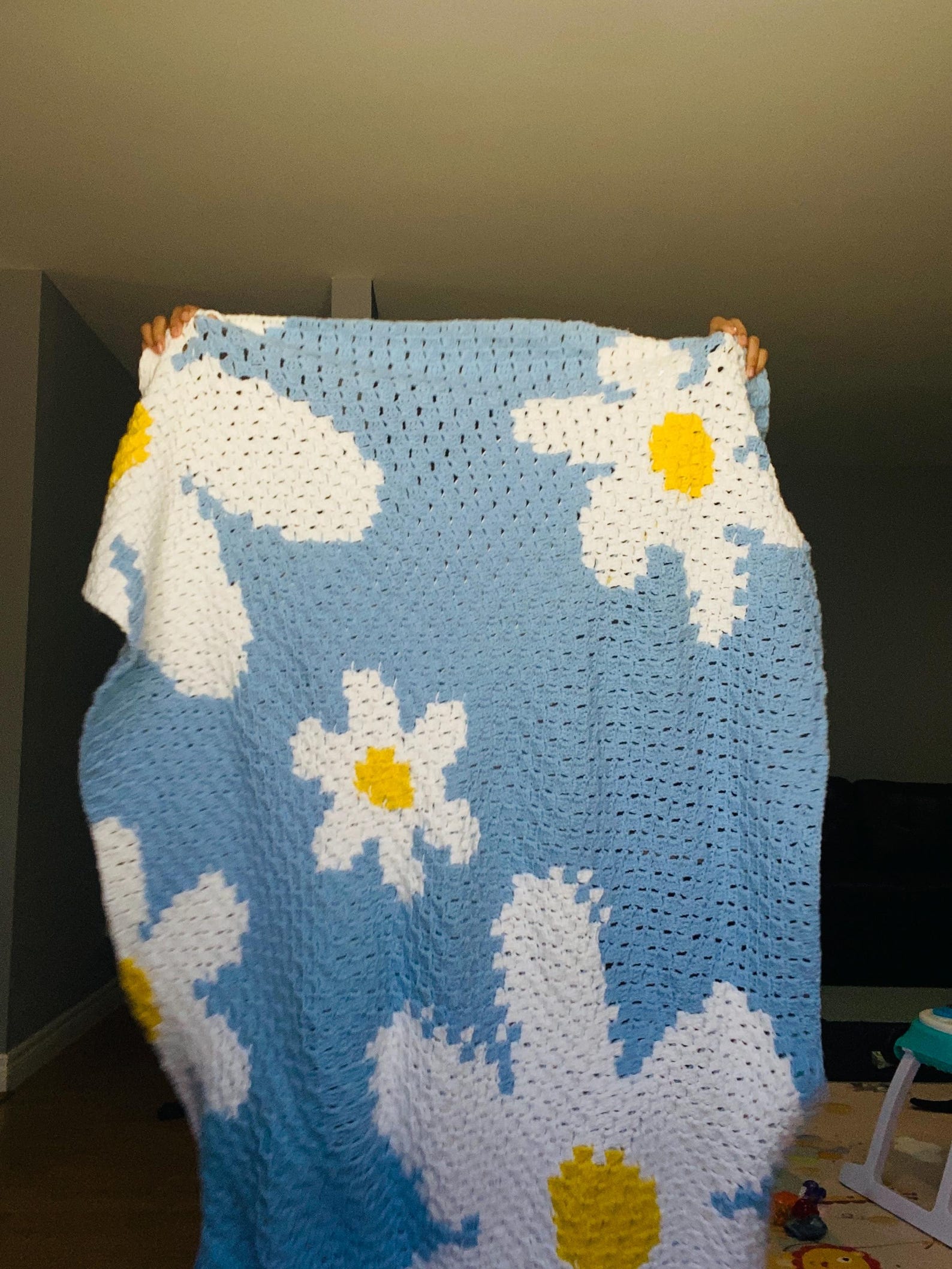 Daisy Graphghan, Daisy Afghan, Throw Blanket With Daisy Pattern, Afghan ...