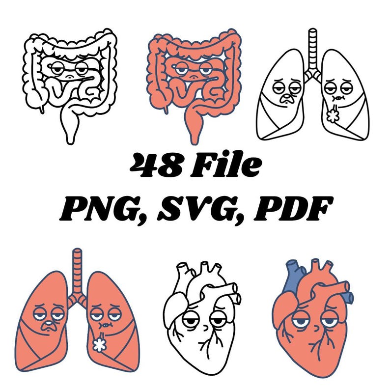 Medical Humor SVG Bundle | Funny Anatomy Stickers (png, Svg, Pdf ...