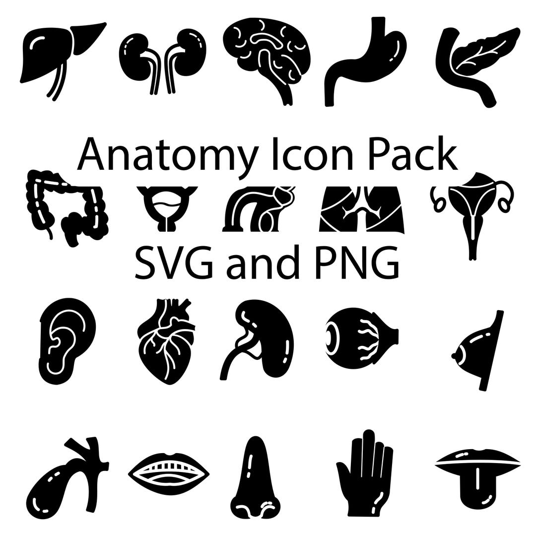Human Internal Organs Icon Pack | Medical Anatomy Icons for Healthcare ...