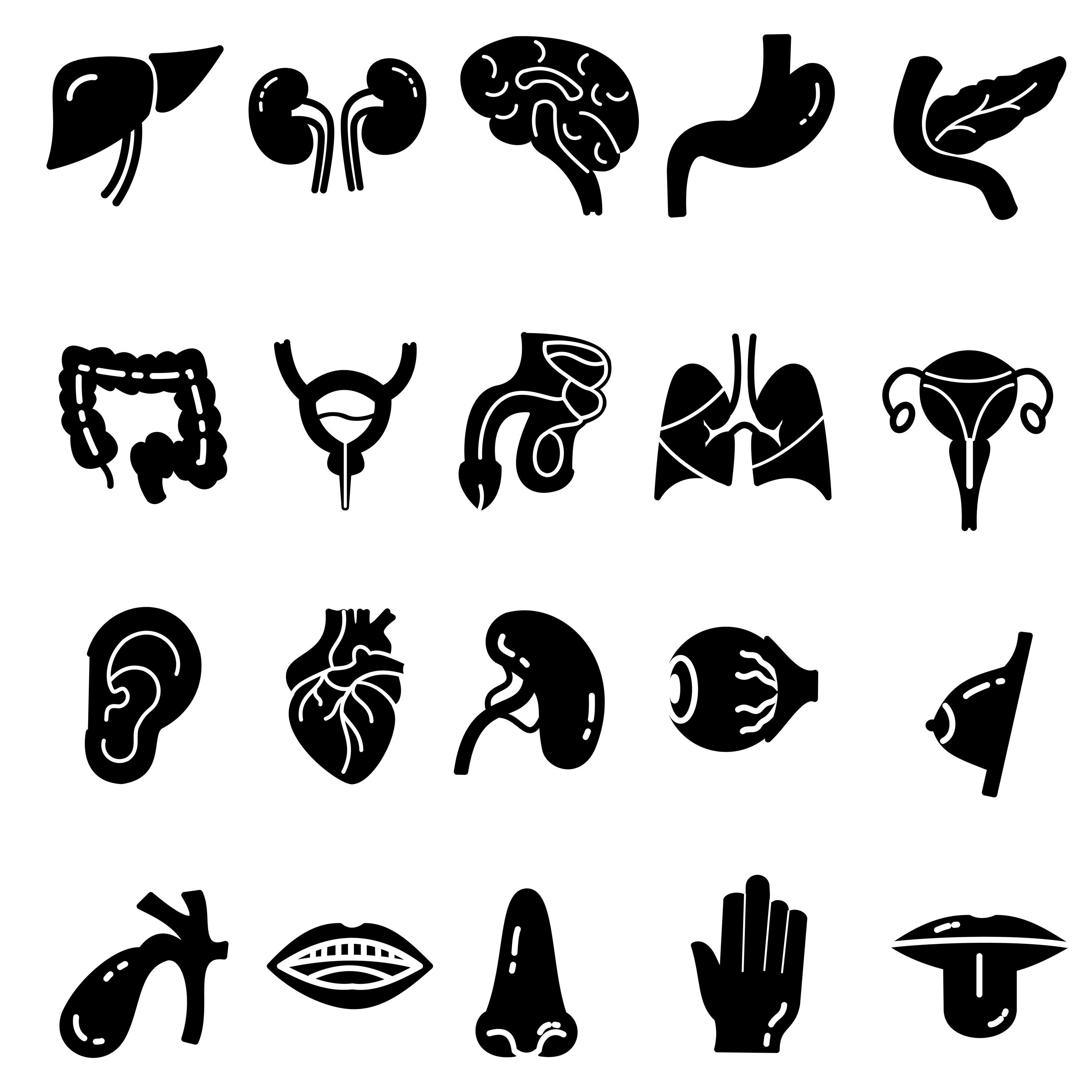 Human Internal Organs Icon Pack Medical Anatomy Icons for Healthcare ...