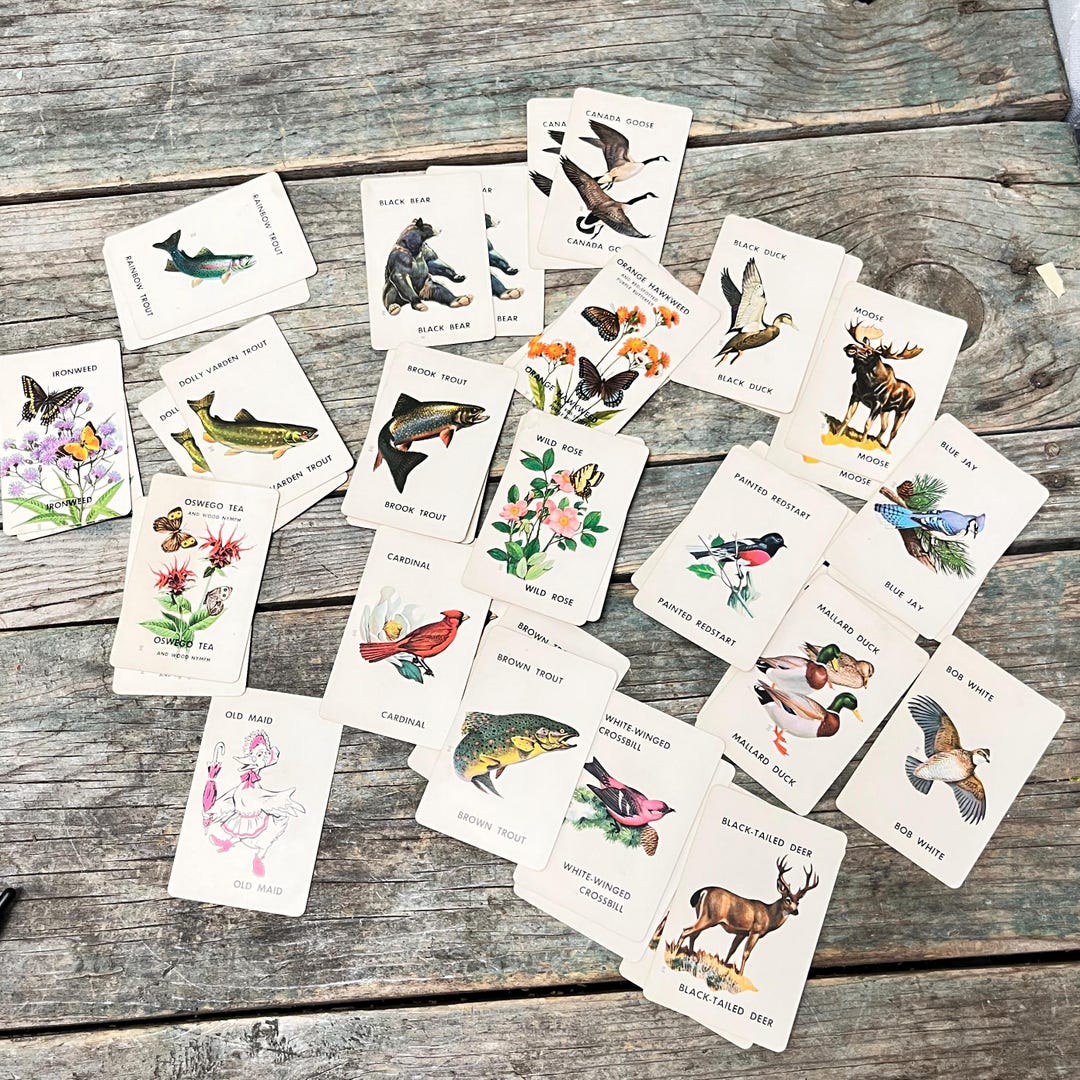 Vintage Ranger Rick Old Maid Wildlife Edition National Wildlife ...