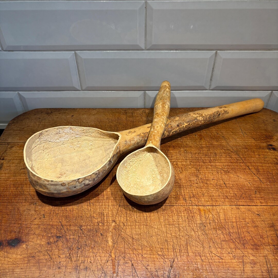 Vintage Gourd Ladles, Calabash Ladles, Dippers, 21.5" Long and 11.5 ...