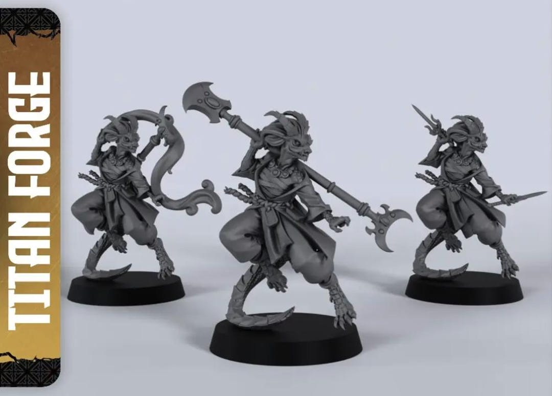 Dragonborn Female Monk Dnd TTRPG Wargaming Miniatures 3D Printed Photos ...