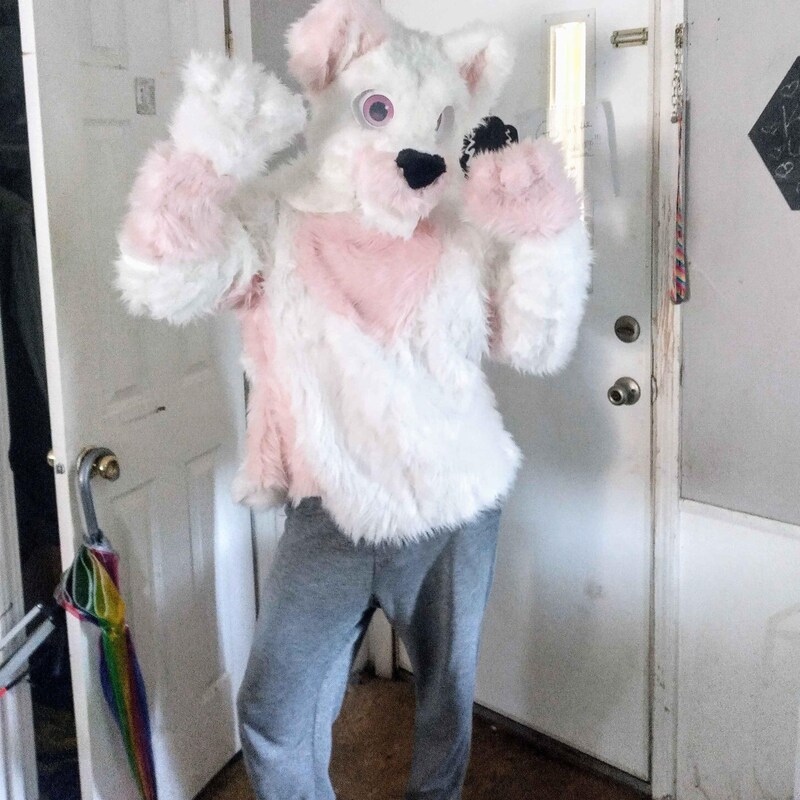 Dog Fursuit - Etsy