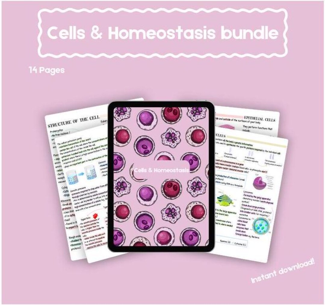 Cells and Homeostasis Nursing Notes / Cheat Sheets for Revision for ...