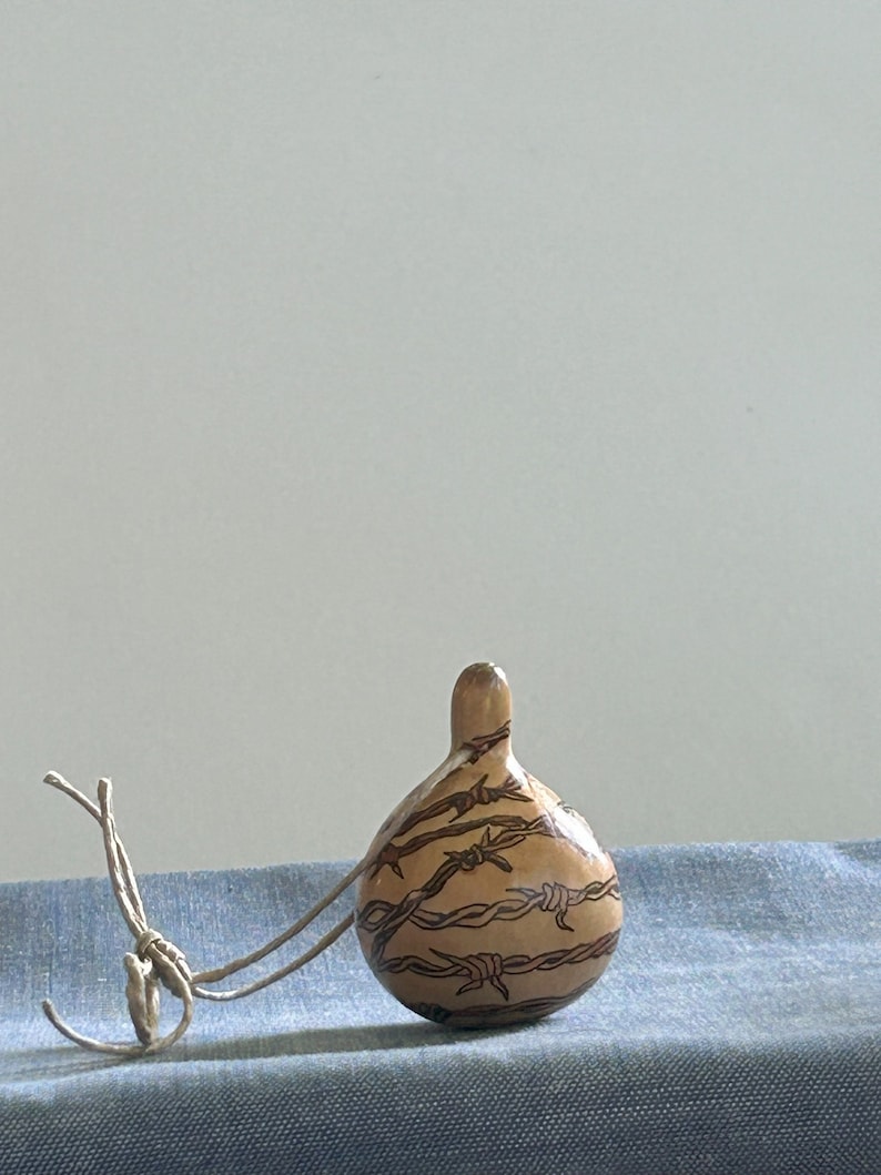 Barbed Wire on a Mini Gourd - Etsy