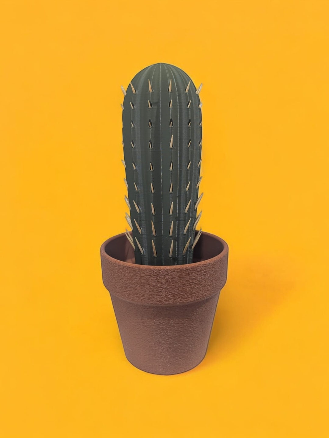 Cactus Toothpick Dispenser - Etsy