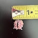 Spiny Jewel Box Sea Shells Hinged (2 Pieces) Sea Shells, Florida ...