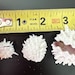 Spiny Jewel Box Sea Shells Hinged (2 Pieces) Sea Shells, Florida ...