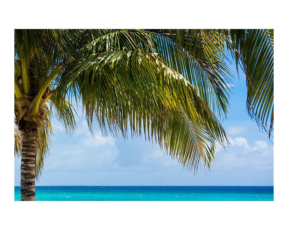 Palm Tree Photo - Ocean Photo - Ocean Photograph - Travel Photograph ...