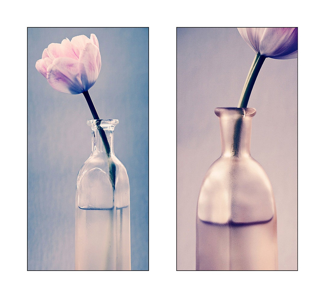 Tulip Photo Set - Vertical Still Life -- Floral Art Prints - Etsy